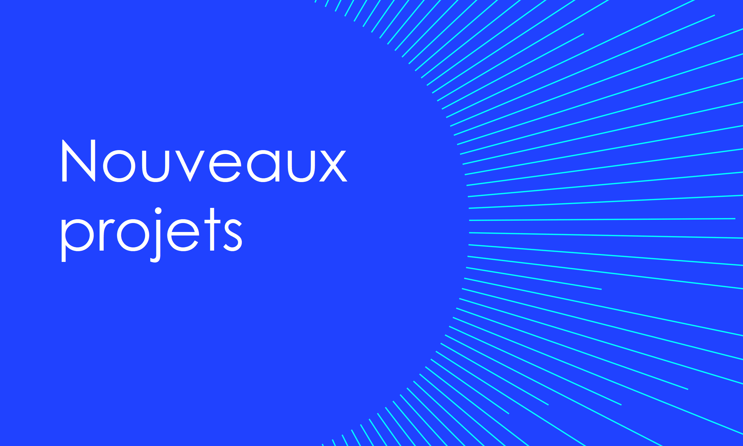 De nouveaux beaux projets pour Leksi - Leksi